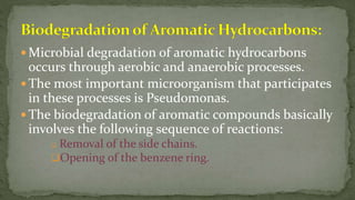 Biodegradation | PPTX | Chemistry | Science