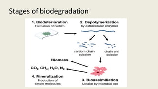Biodegradation - is it all that is seems? | PPT