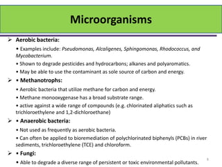 Biodegradation and bioremediation | PDF