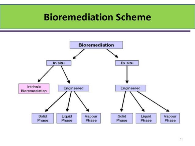 Biodegradation and bioremediation