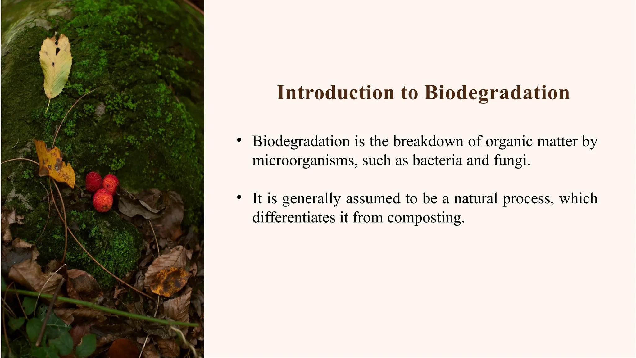 Biodegradation , biodegradable triangle and it's process. | PPT