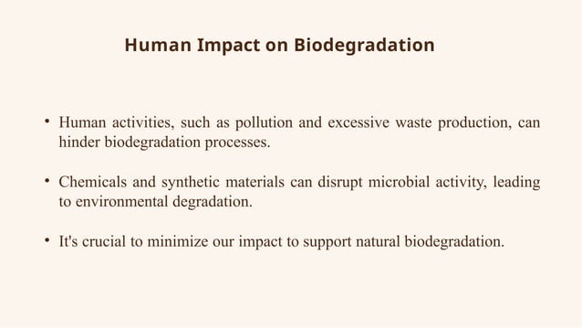 Biodegradation , biodegradable triangle and it's process. | PPT
