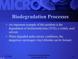 Biodegradation & Bioremediation | PPTX