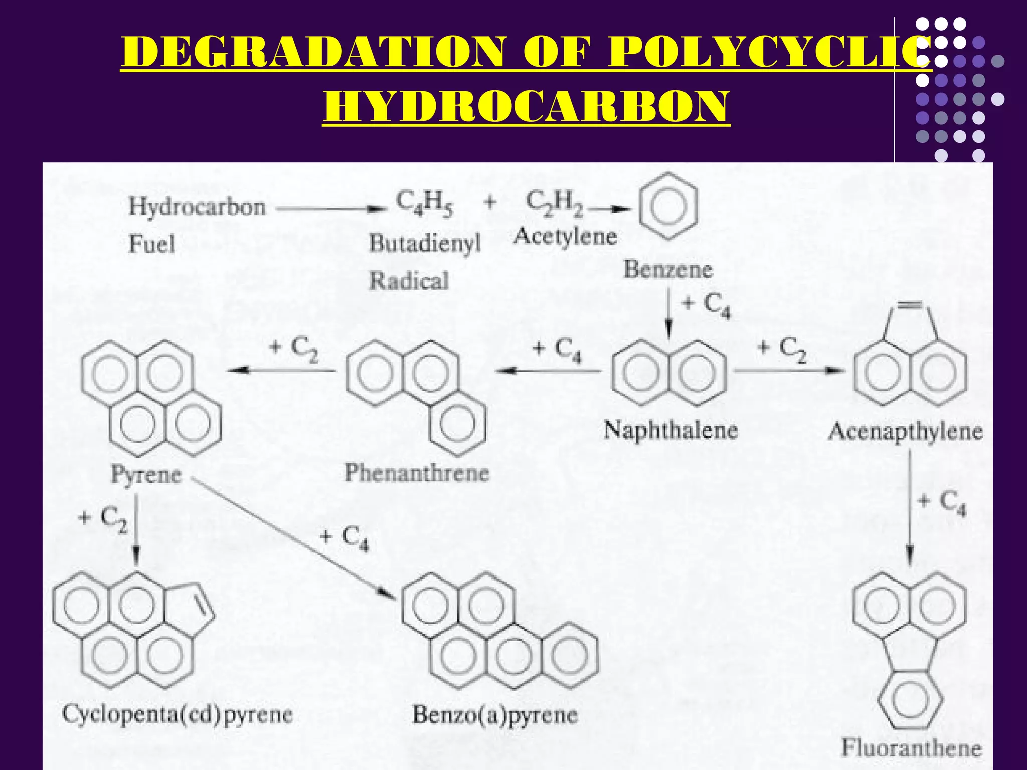 Biodegradation of hydrocarbon | PPT