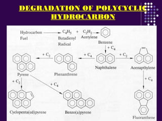 Biodegradation of hydrocarbon | PPT
