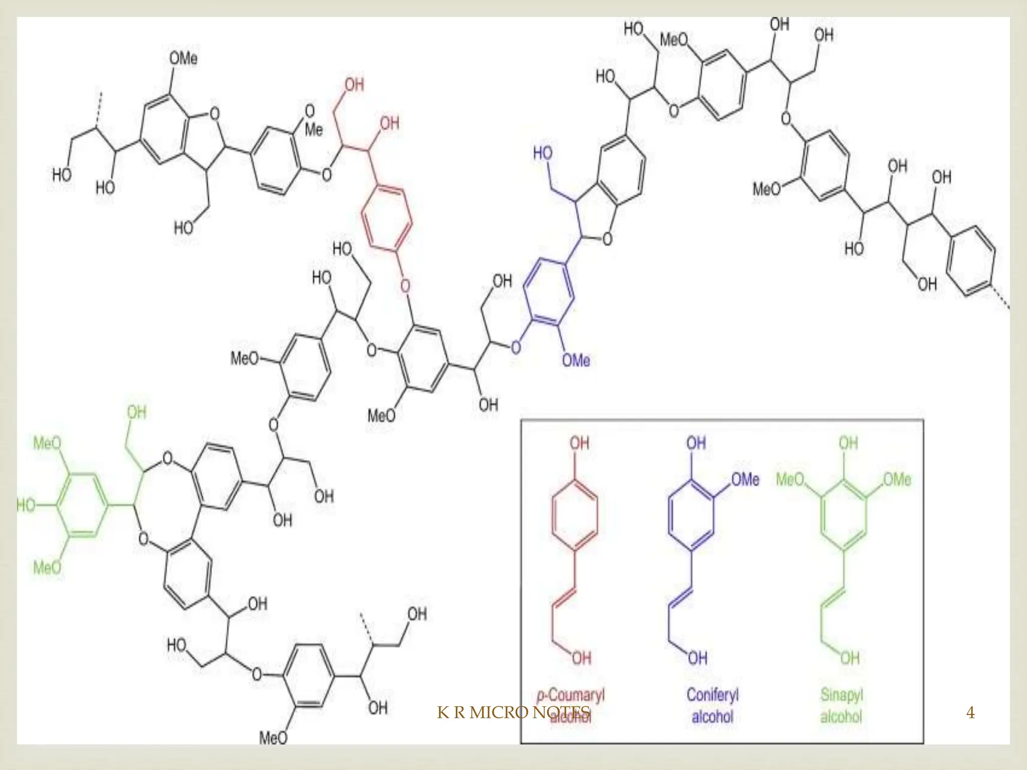 BIODEGRADATION OF LIGNIN AND XYLON K R.pptx