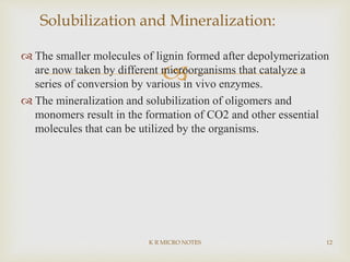 BIODEGRADATION OF LIGNIN AND XYLON K R.pptx