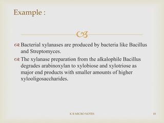 BIODEGRADATION OF LIGNIN AND XYLON K R.pptx