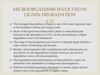 BIODEGRADATION OF LIGNIN AND XYLON K R.pptx