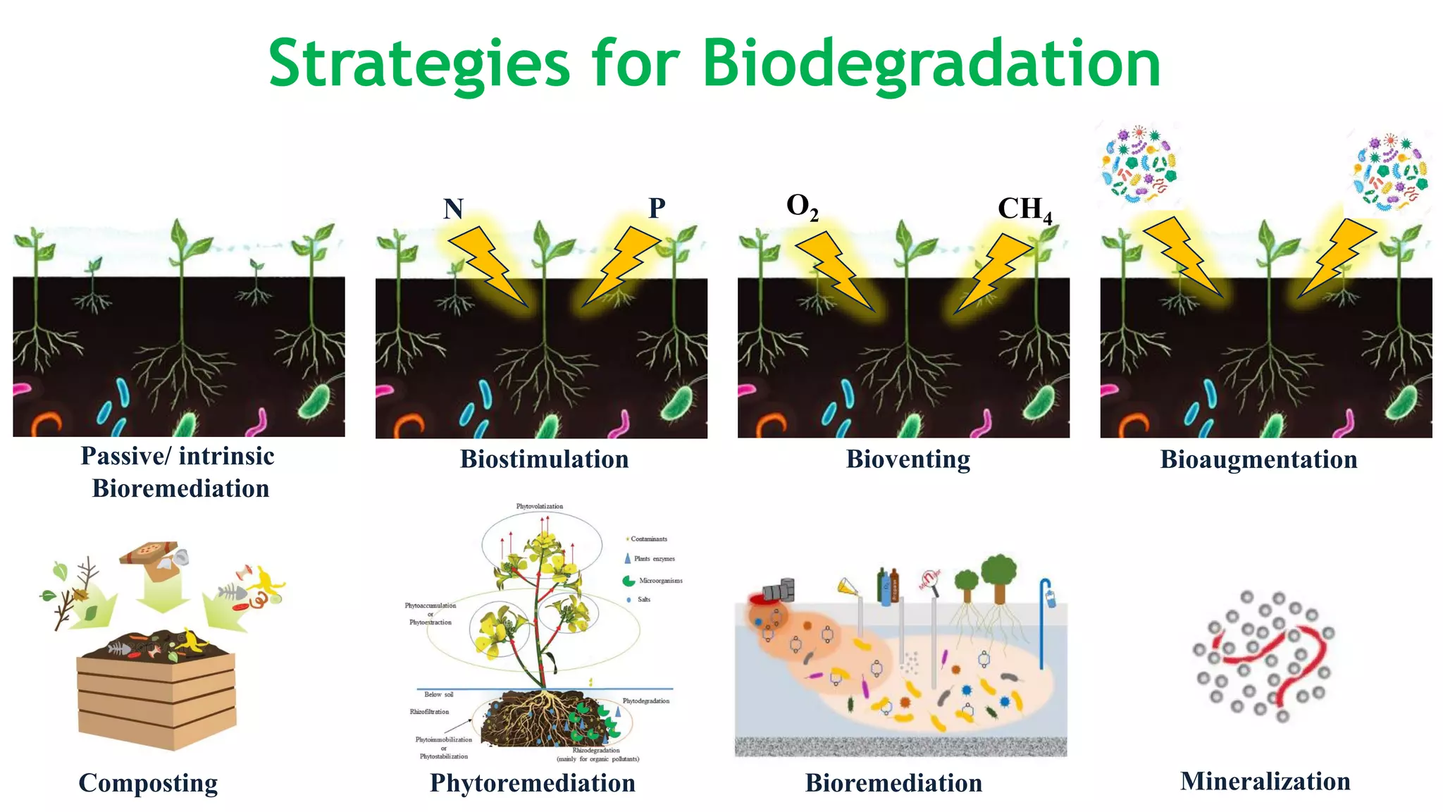 Biodegradation of pesticides | PDF
