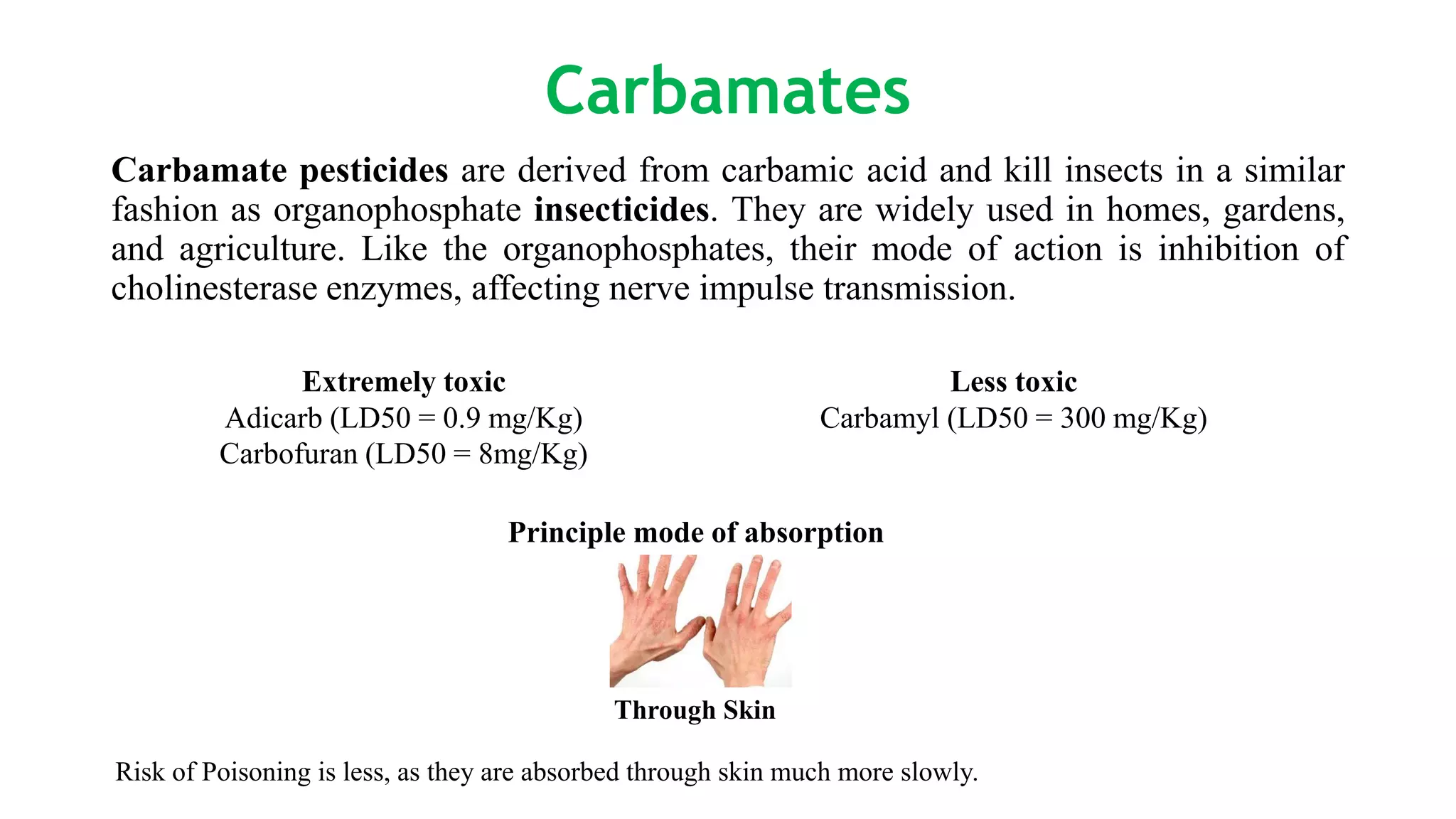 Biodegradation of pesticides | PDF