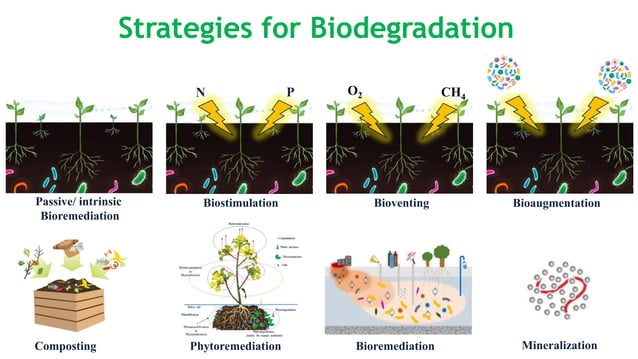 Biodegradation of pesticides | PDF | Agriculture | Industries