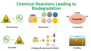 Biodegradation of pesticides | PDF