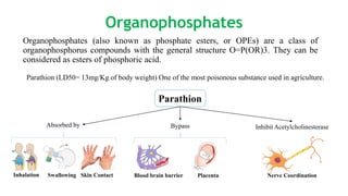 Biodegradation of pesticides | PDF