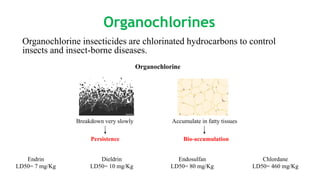 Biodegradation of pesticides | PDF