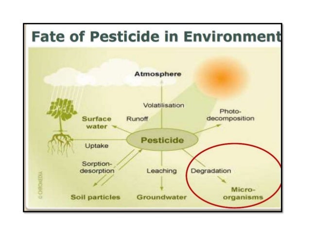 Bio degradation of pesticides and herbicides