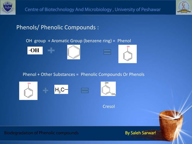 Biodegradation of phenolic compounds- (Scavenging the Phenols) | PPTX