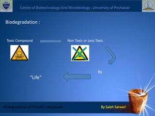 Biodegradation of phenolic compounds- (Scavenging the Phenols) | PPTX