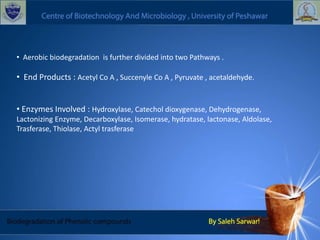 Biodegradation of phenolic compounds- (Scavenging the Phenols) | PPTX