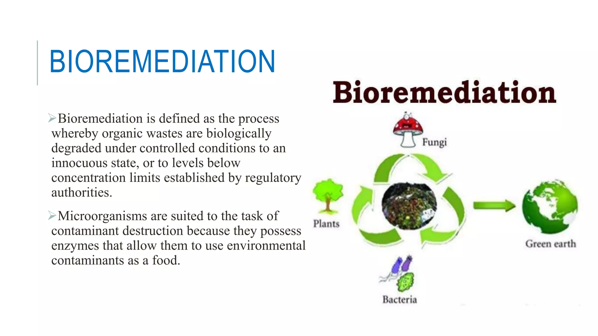 Biodegradation of pollutants | PPT
