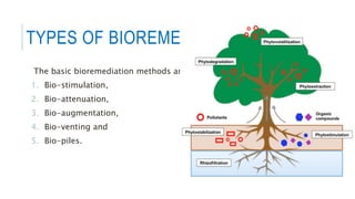 Biodegradation of pollutants | PPTX | Indoor Environmental Quality ...