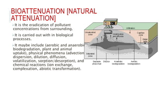 Biodegradation of pollutants | PPTX | Indoor Environmental Quality ...