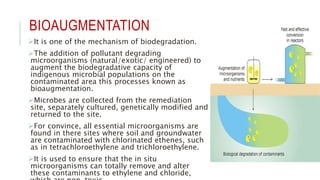 Biodegradation of pollutants | PPTX