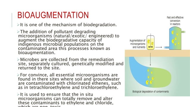 Biodegradation of pollutants | PPTX | Indoor Environmental Quality ...
