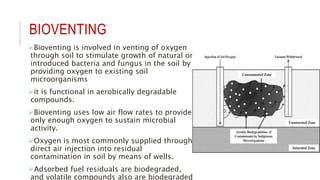 Biodegradation of pollutants | PPTX