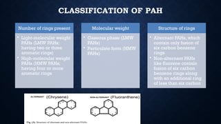 Biodegradation of Polyaromatic Hydrocarbon (PAH).pptx
