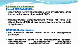 Biodegradation of xenobiotics | PPTX
