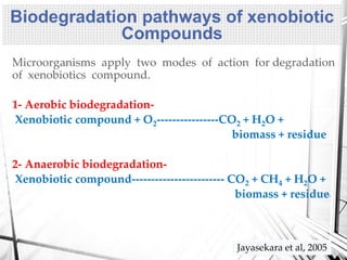 Biodegradation of xenobiotics | PPTX
