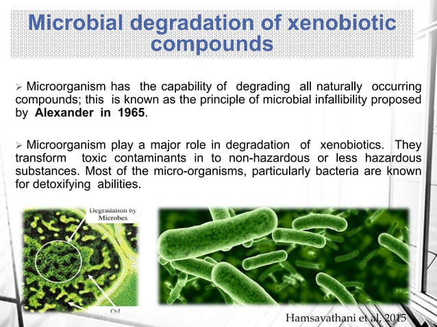 Biodegradation of xenobiotics | PPT