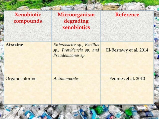 Biodegradation of xenobiotics | PPTX