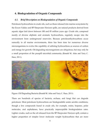 Biodegradation of Organic Compound and Plastic Materials | PDF