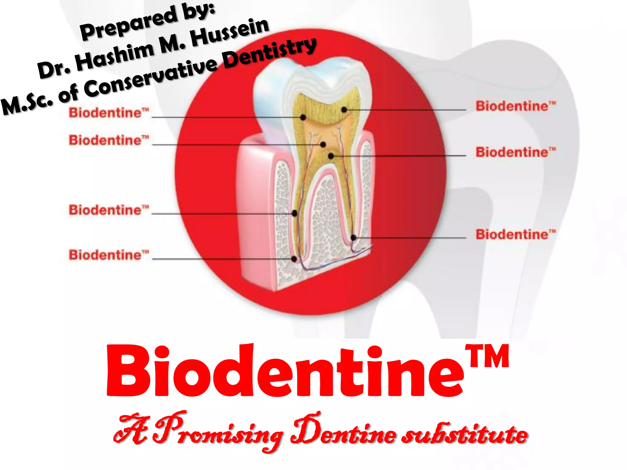 Biodentine™ | PDF