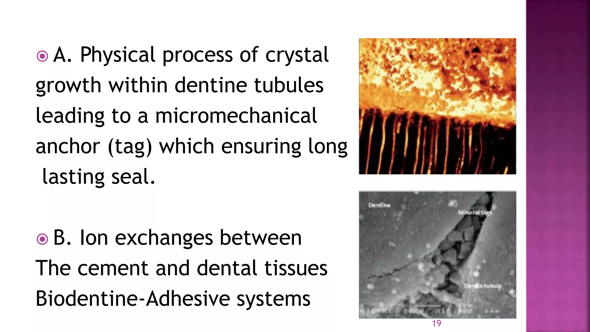 Biodentine | PPTX
