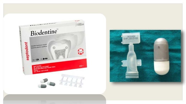 Biodentine (1)