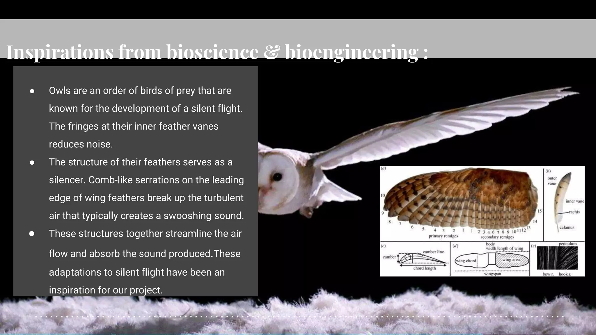 Biodesign Project.pptx