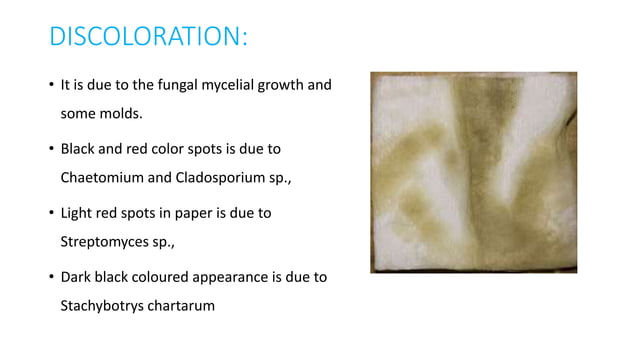 Biodeterioration of paper | PPTX