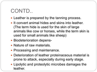 Biodeterioration of paper and leather ppt.. | PPTX