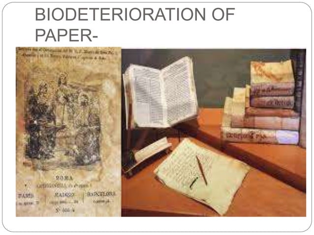 Biodeterioration of paper and leather ppt.. | PPT