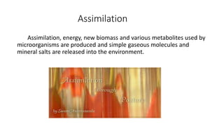 Biodeterioration of textiles | PPTX