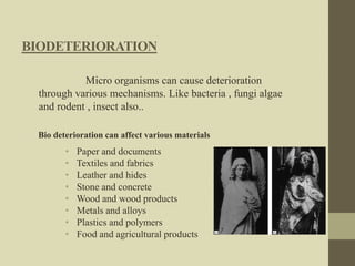Biodeterioration of Textiles and Their effects | PPTX