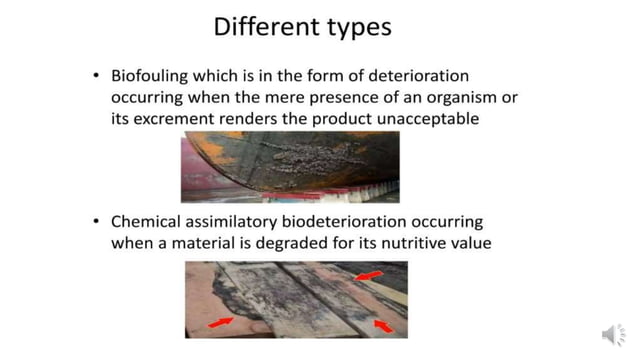 BIODETERIORATION OF WOOD.pptx