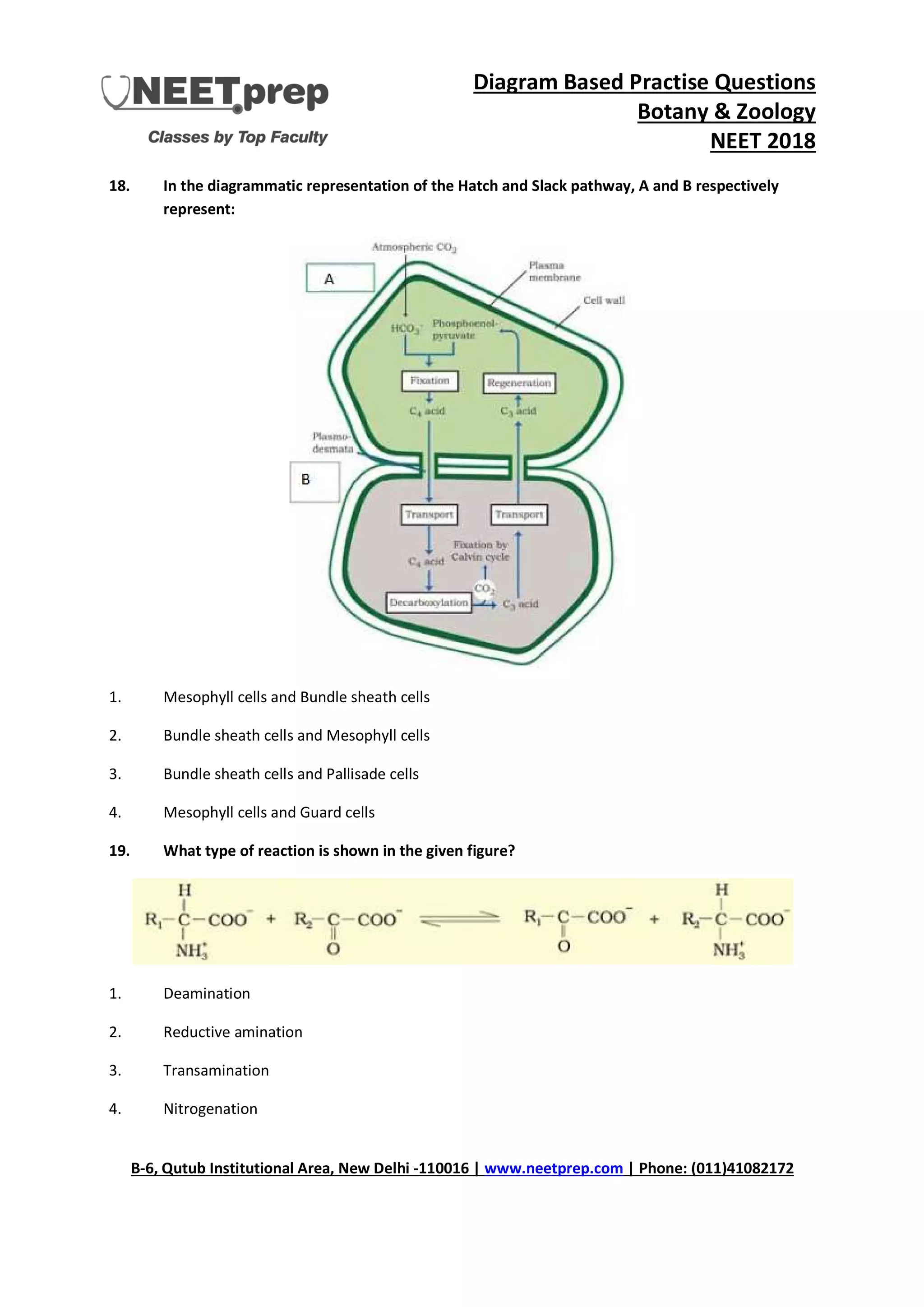 Bio diagram questions solutions By Prisha | PDF