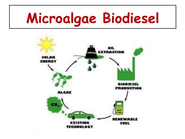 Biodiesel