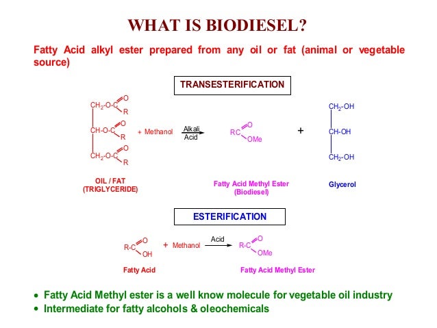 Biodiesel