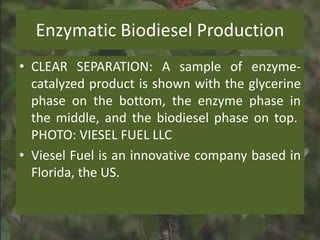 Biodiesel: The Fuel Of The Future | PPTX