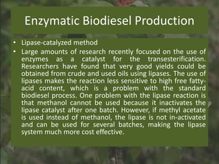 Biodiesel: The Fuel Of The Future | PPTX